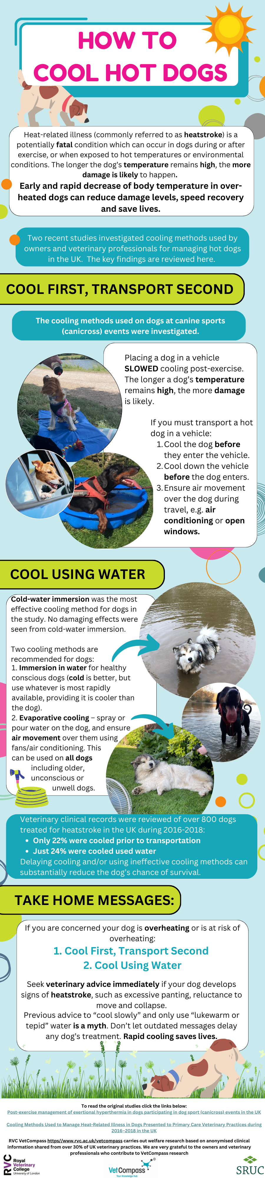 Hot Dogs – heatstroke education for dog owners | Sharing our research ...